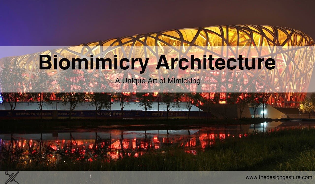 Biomimicry Architecture: A Unique Art Of Mimicking | The Design Gesture