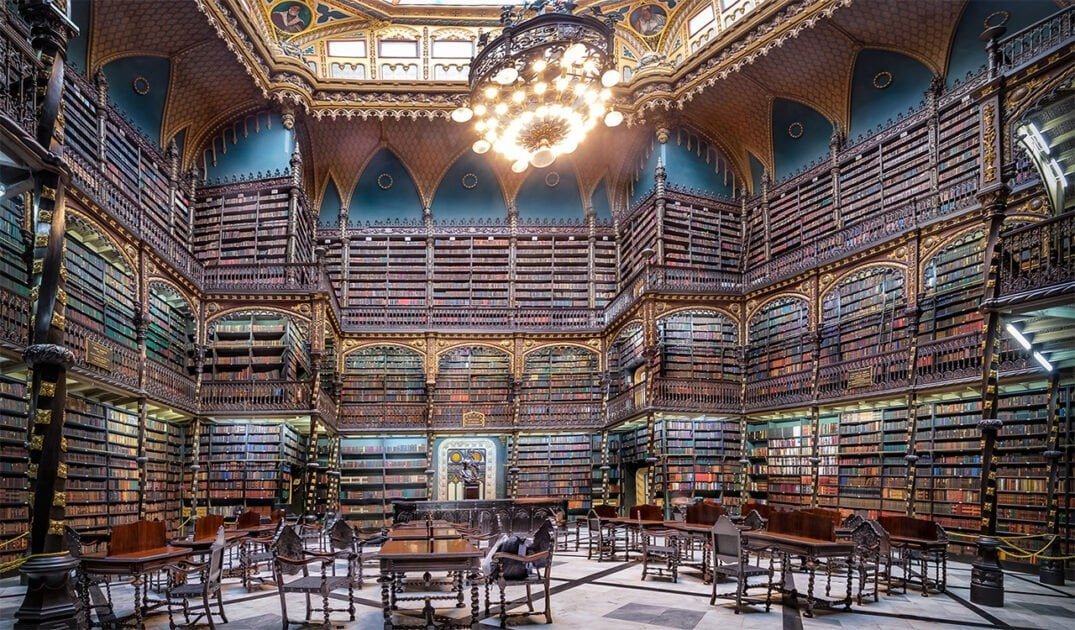 Modern Library Architecture: Types And Examples Of Libraries In World ...