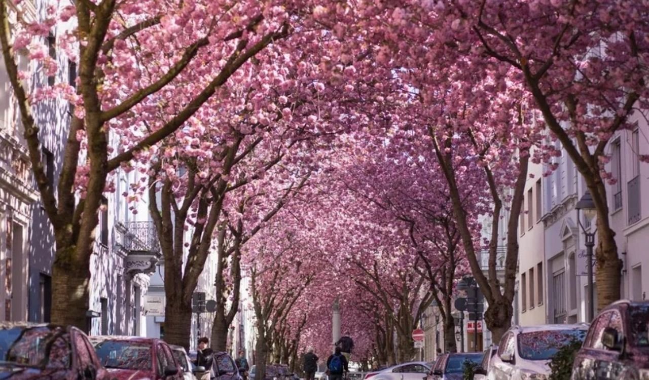 Streetscape: Some Spectacular Streets That Have Become A City’s ...