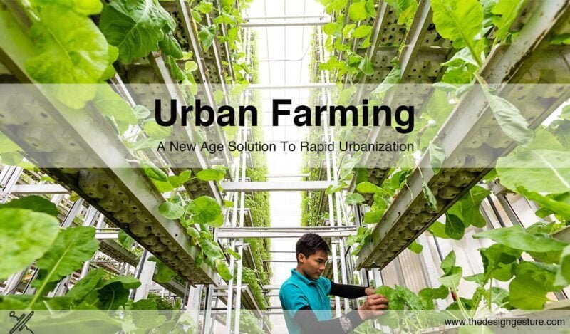 Urban Farming: A New Age Solution To Rapid Urbanization | The Design ...