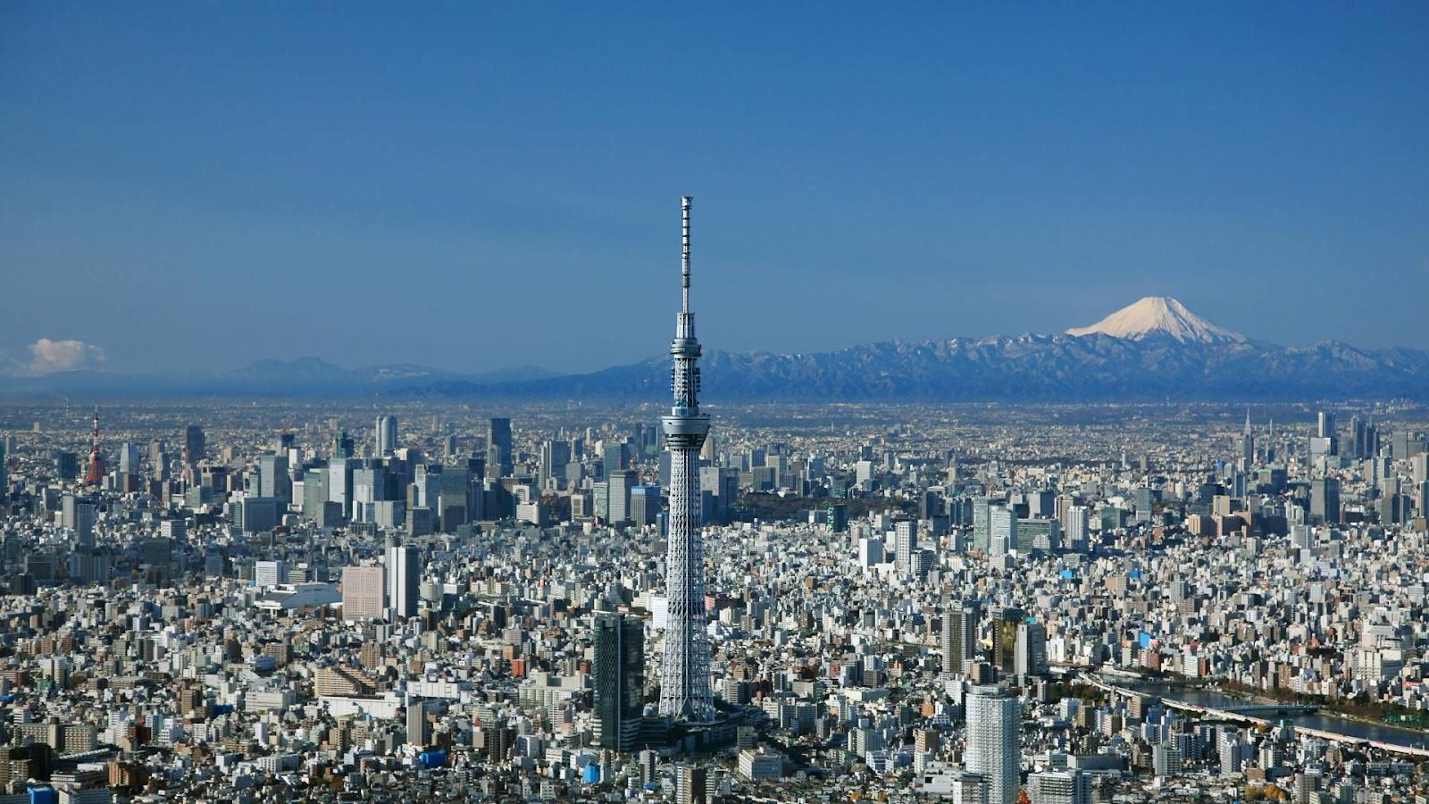 Seismic Architecture: An Innovative Construction For Tectonic Collision ...