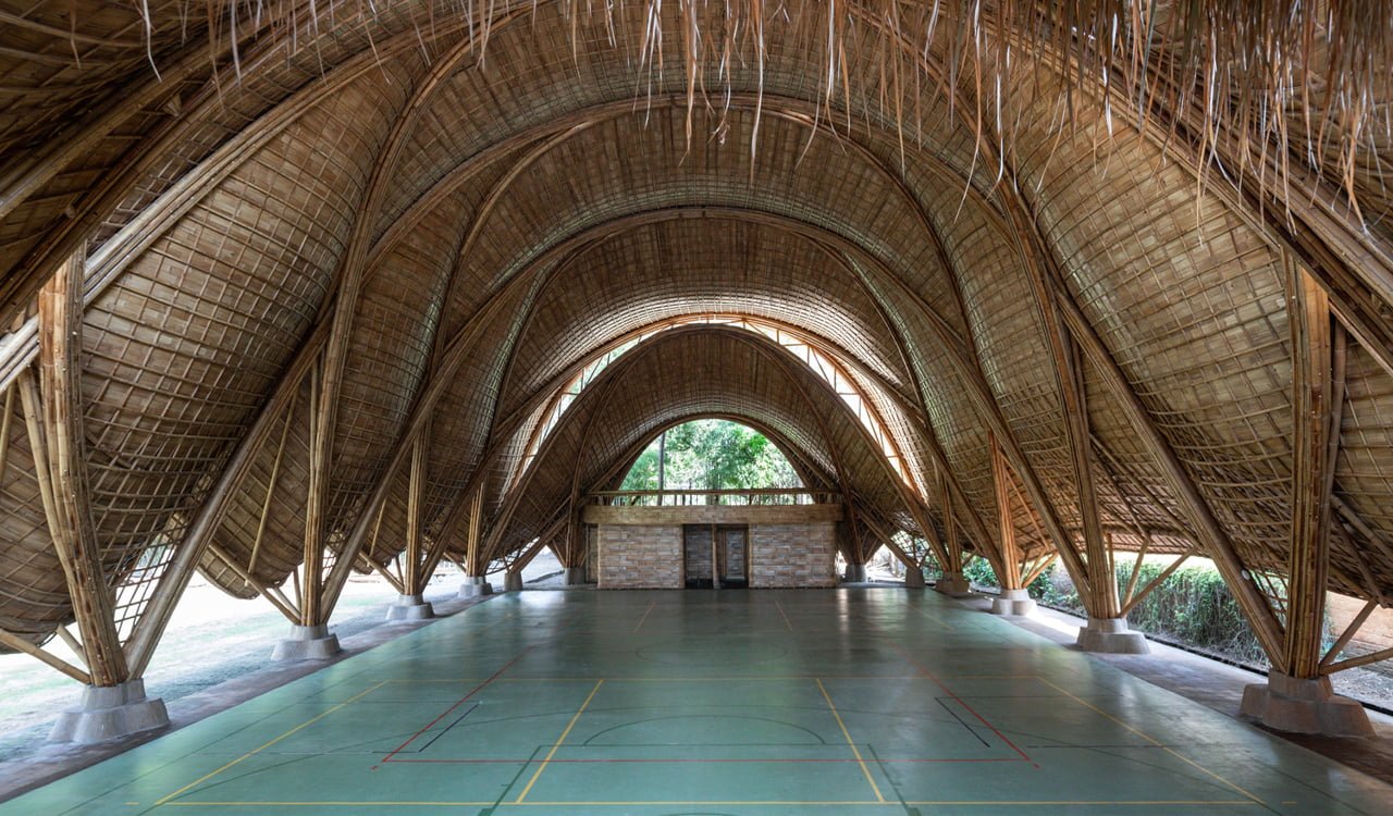 Bamboo: A Promising Sustainable Future | The Design Gesture