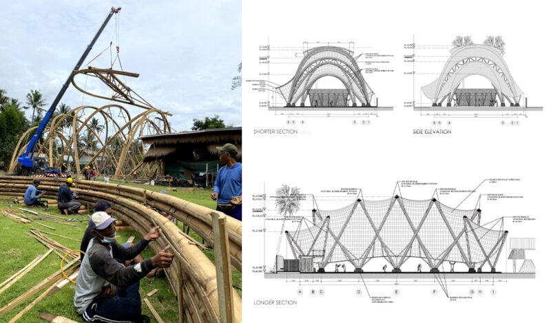 Bamboo: A Promising Sustainable Future - The Design Gesture